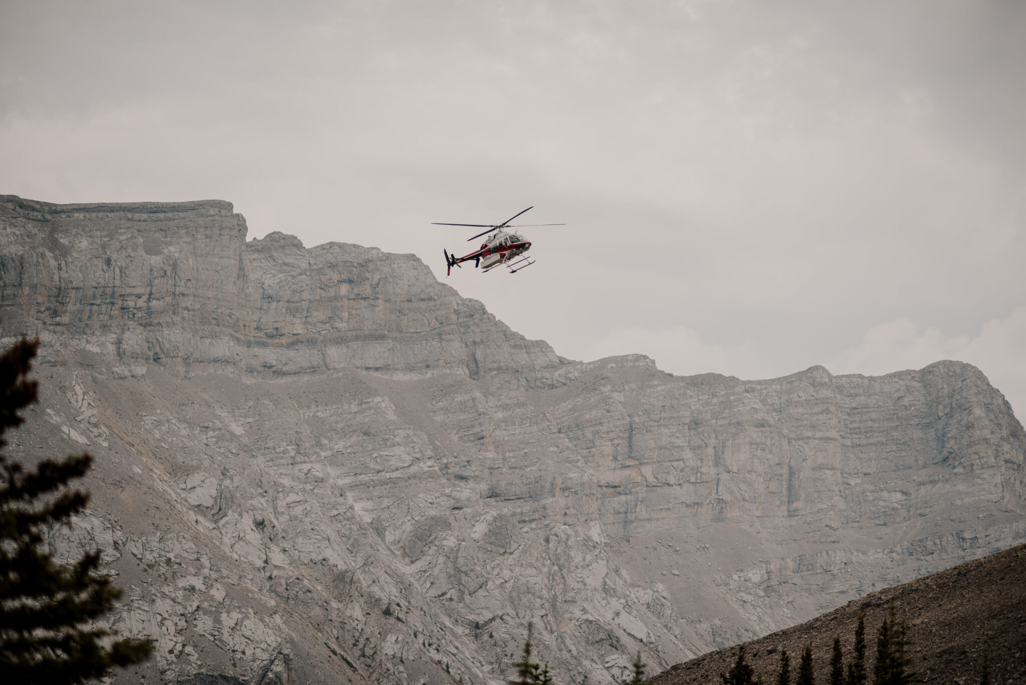 Canmore Helicopter Elopement with Martha's Heli Hikes ...